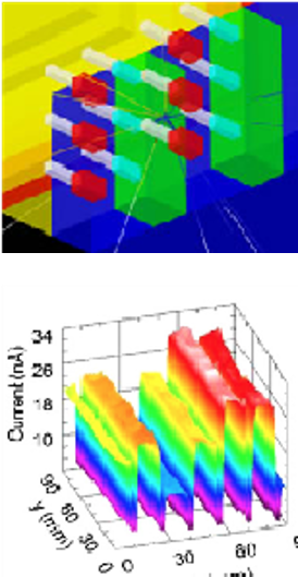 Départements et équipes | IM2NP